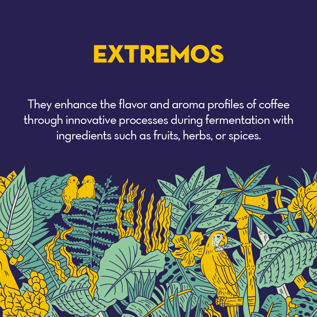 EXTREMOS – us.colocoffee