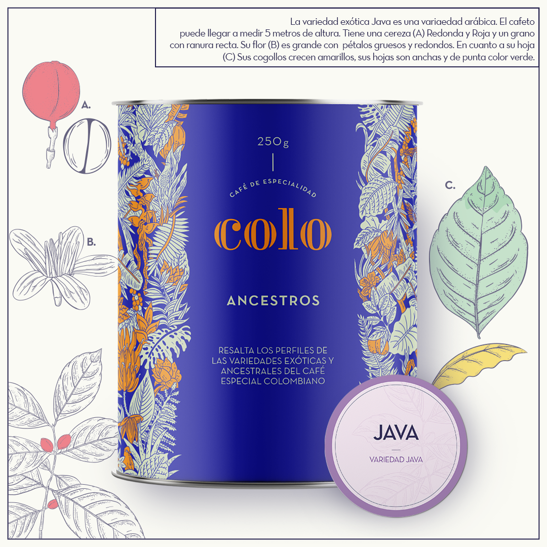 Colo Coffee – us.colocoffee